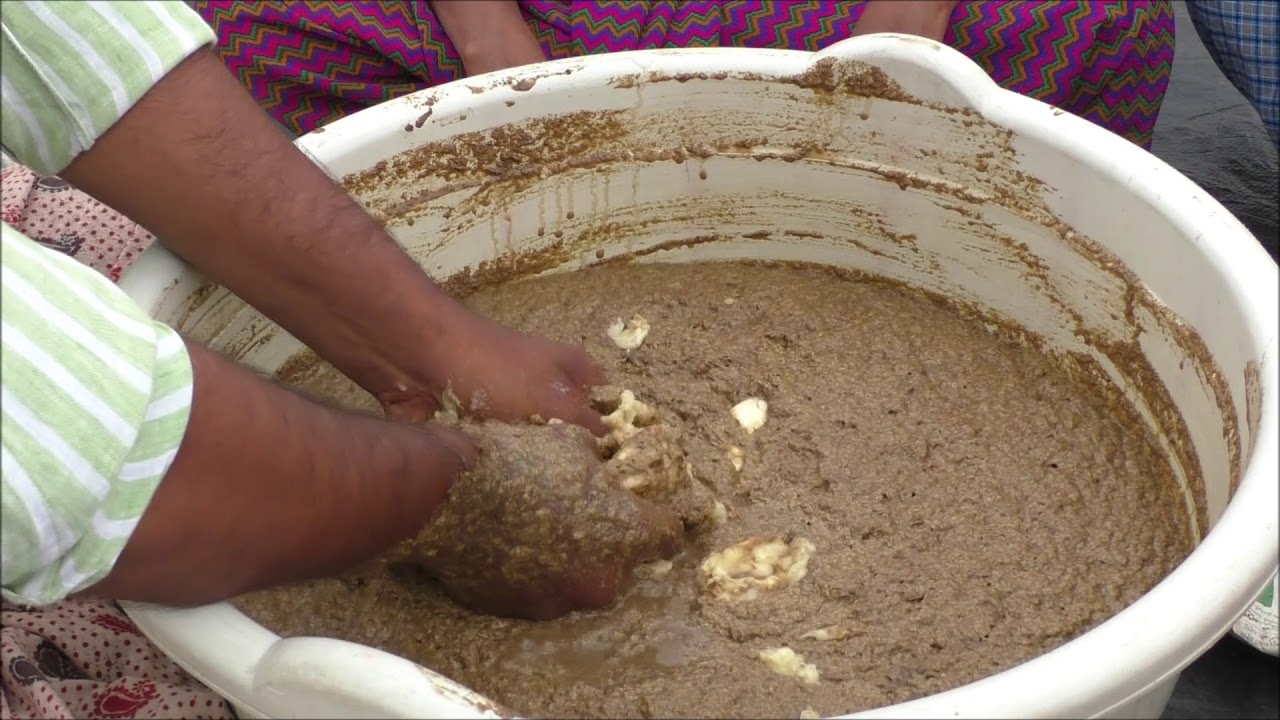 Panchagavya Preparation - YouTube