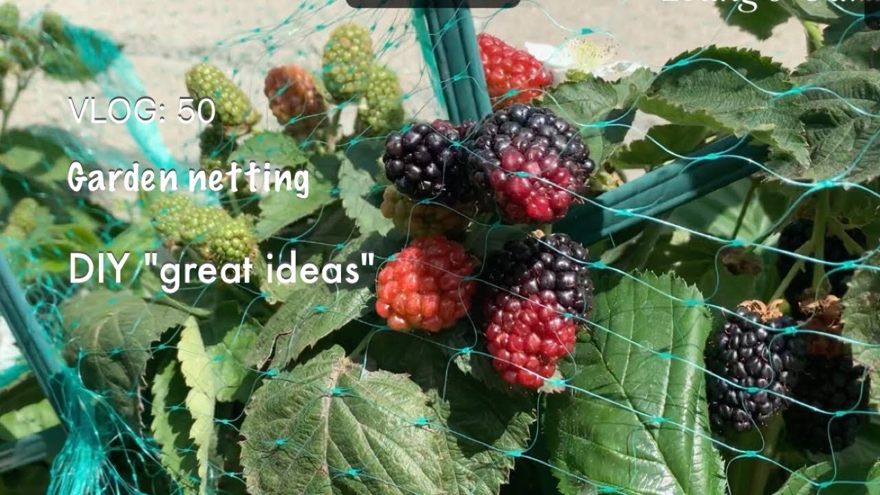 DIY, using garden netting and see how it works. Demonstrating the best ...