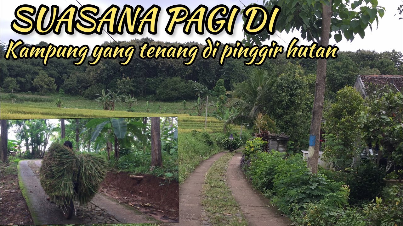 PEDESAAN SUKU JAWA TIMUR YANG MASIH ALAMI DAN ASRI //BIKIN TENANG HATI ...
