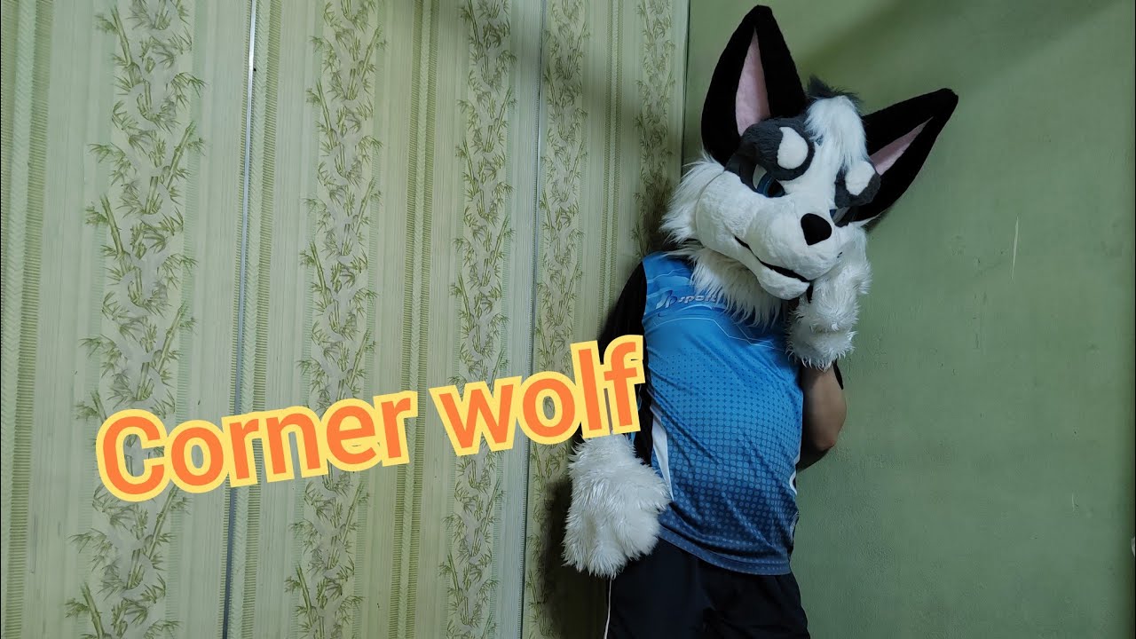 Corner wolf - YouTube