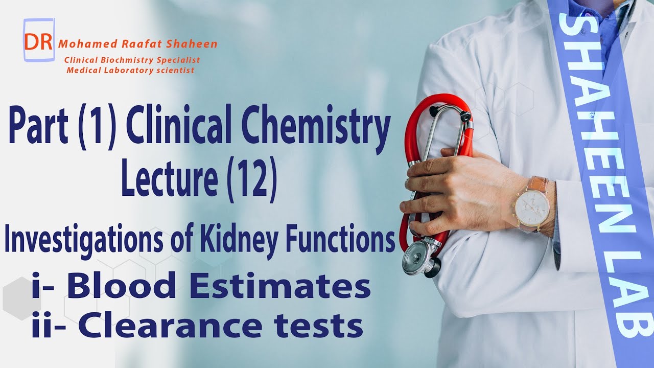 Clinical chemistry : Lecture 12 (Investigations of Kidney functions 1 ...
