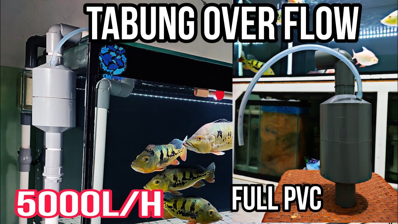 Instal dan Test ! Tabung Over flow Pvc 5000l/h || Setup Sump filter ...