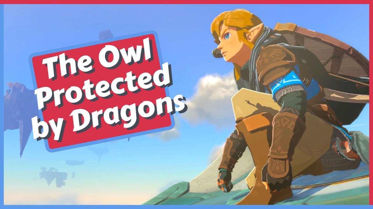 The Owl Protected by Dragons Side Adventure Guide in Zelda Tears of the ...