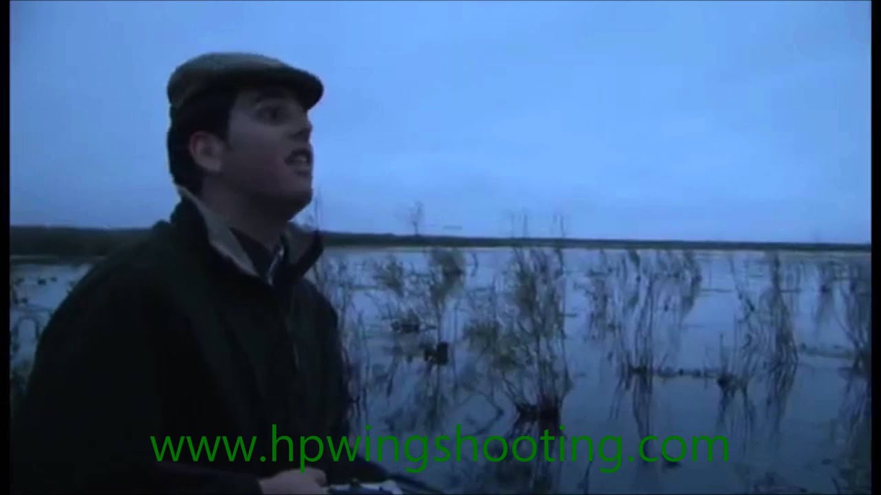 Duck Hunting/ Cacerias de patos - YouTube