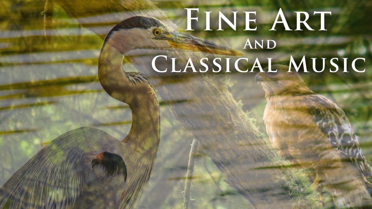 Fine Art Photography and Classical Music - YouTube