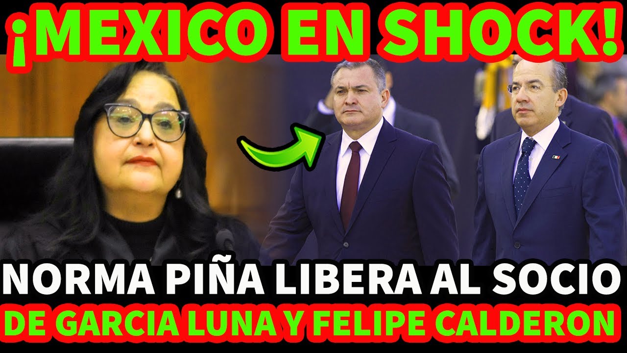 ¡MEXICO EN SHOCK! NORMA PIÑA LIBERA A SOCIO DE GARCIA LUNA Y FELIPE ...
