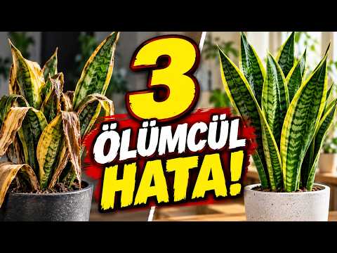 Asla Ölmez Denilen Paşa Kılıcını Öldüren 3 Hata!