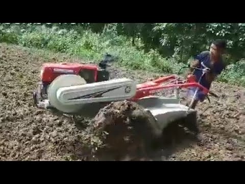 power tiller puddling for make a paddy field - YouTube