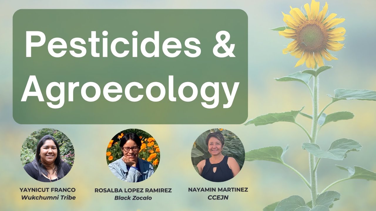 Pesticides and Agroecology - YouTube
