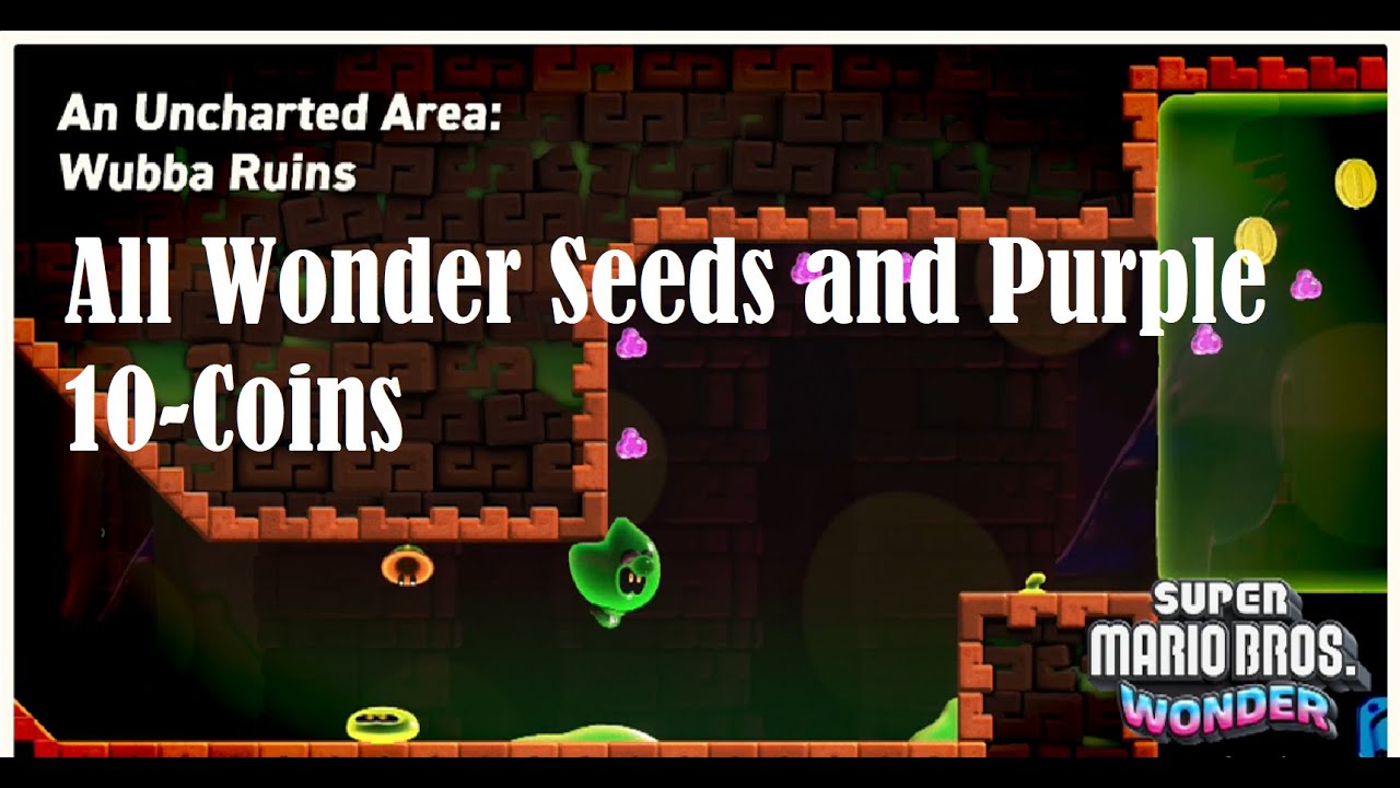 Another Uncharted Area: Wubba Ruins 100% All Coins and Wonder Seeds ...