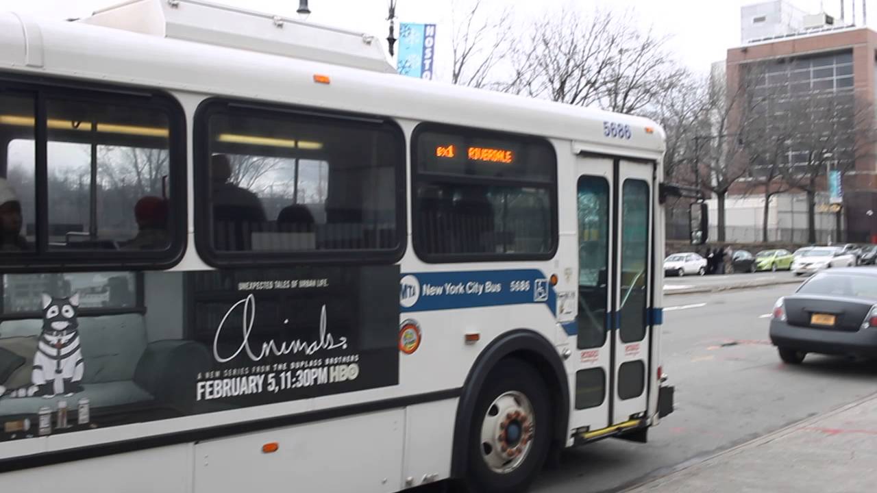 MTA New York City Bus New Flyer D60HF 5686 on the Bx1 Limited - YouTube