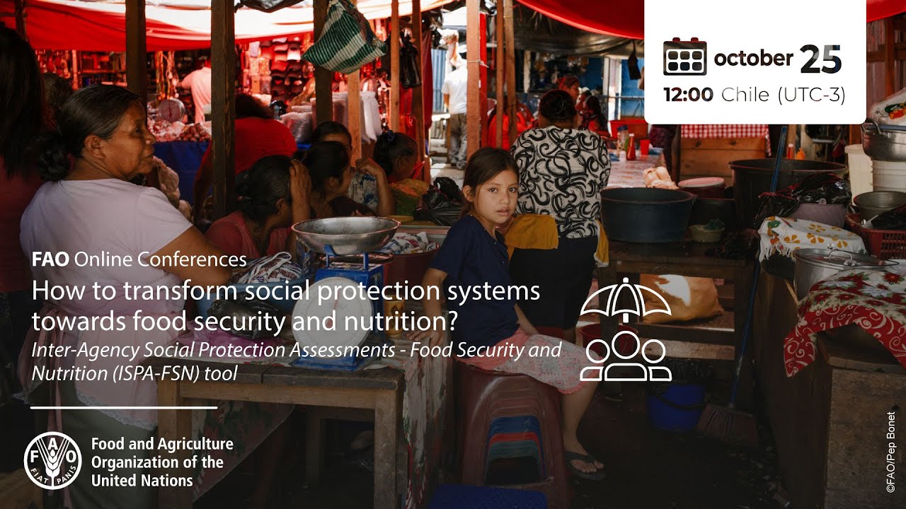 How to transform social protection systems towards food security and ...
