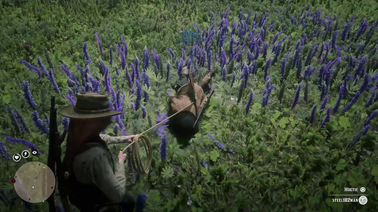 RED DEAD REDEMPTION 2 - The Saddle Club - YouTube