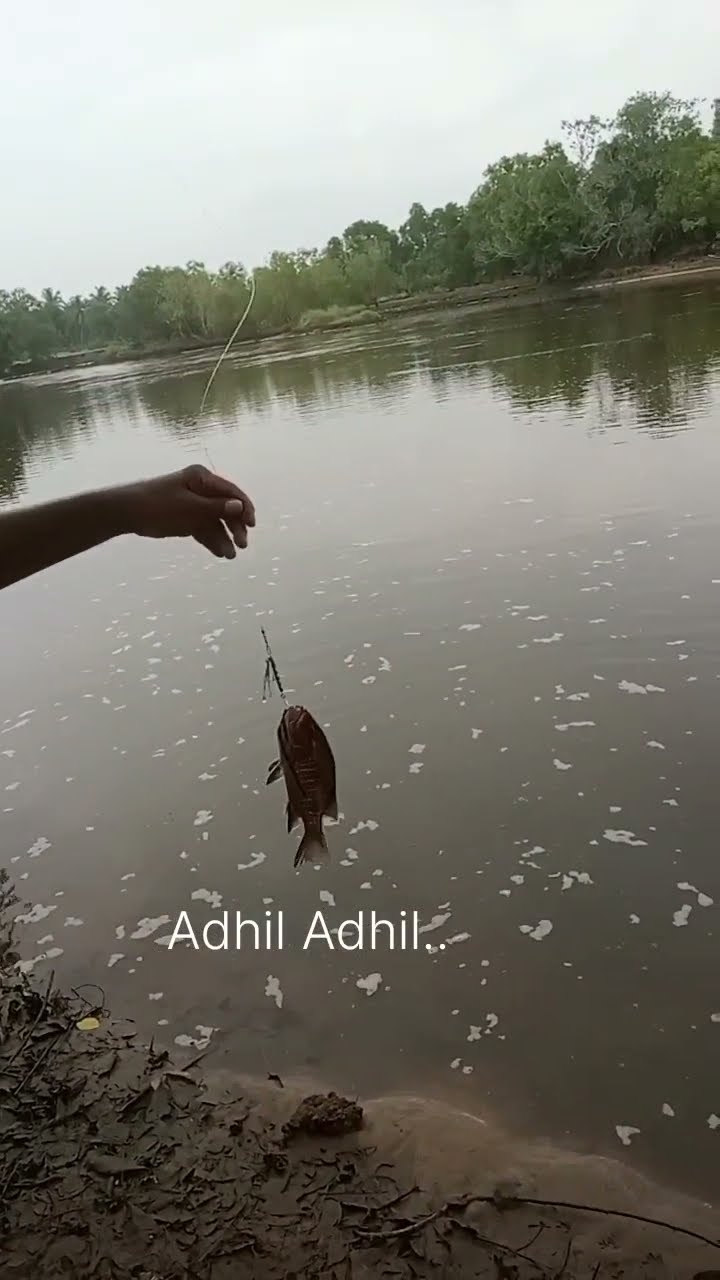 നീ പോയി വലുതായിട്ട് വാ.. #kerala #fishing #parappanangadi #adhil #adhil ...