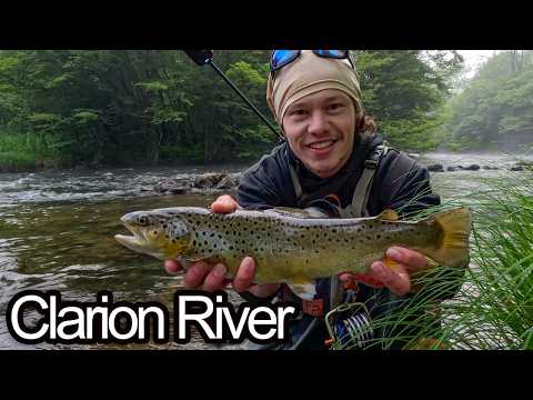 I Found Big Trout in Pennsylvania's Clarion River