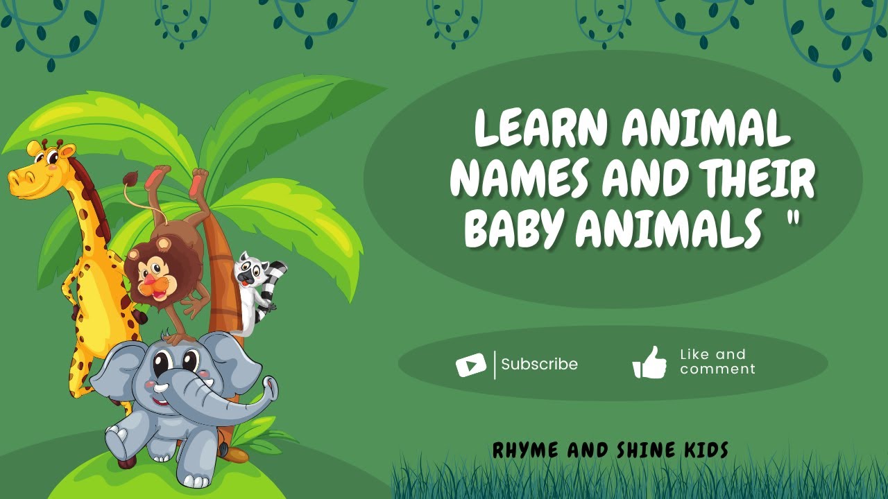 "Guess the Baby Animal! | Learn Baby Animal Names with Fun 3D Animation ...