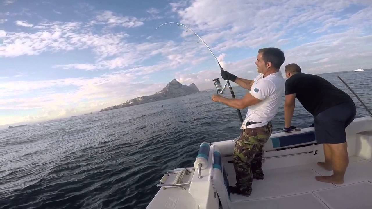 TUNA FISHING! (Catch and release) - YouTube