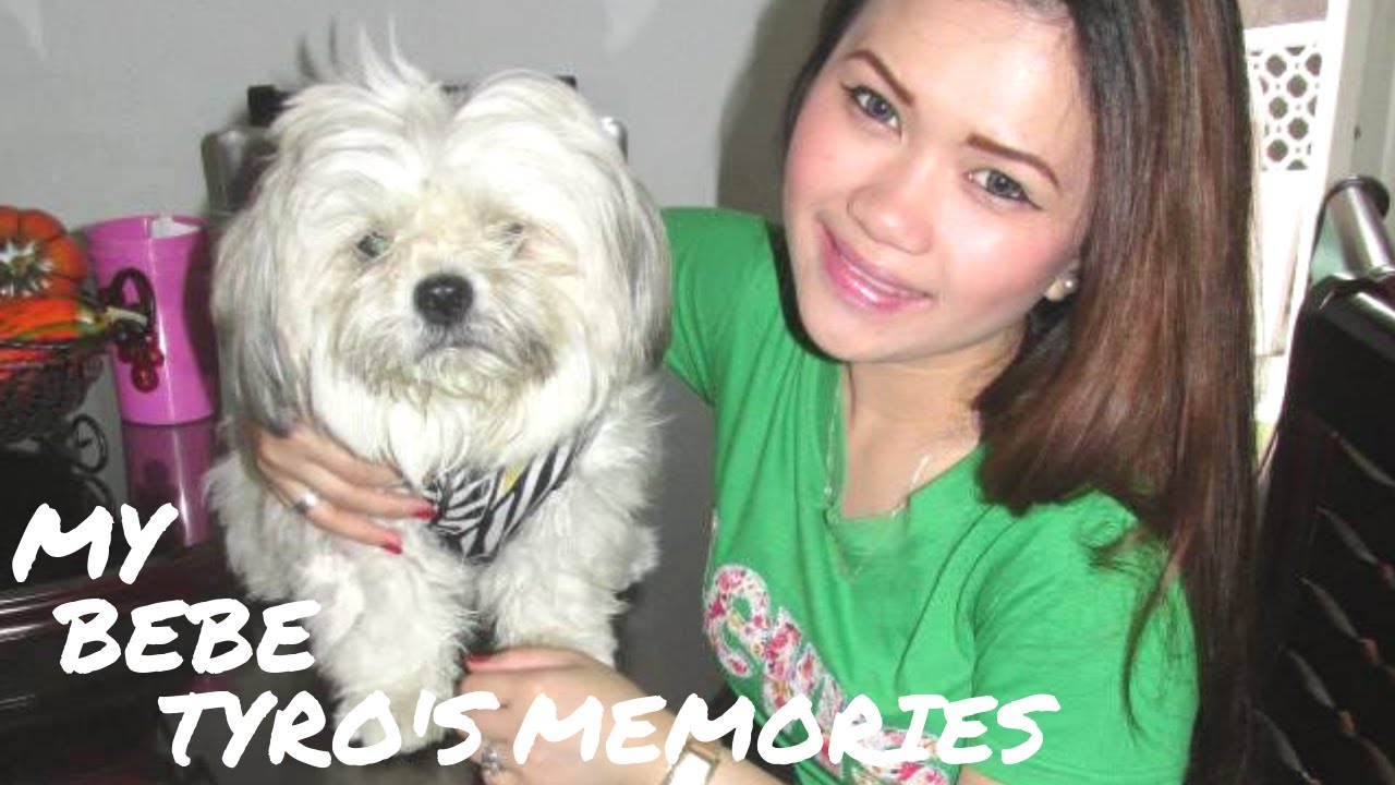 My baby tyro’s memories - YouTube