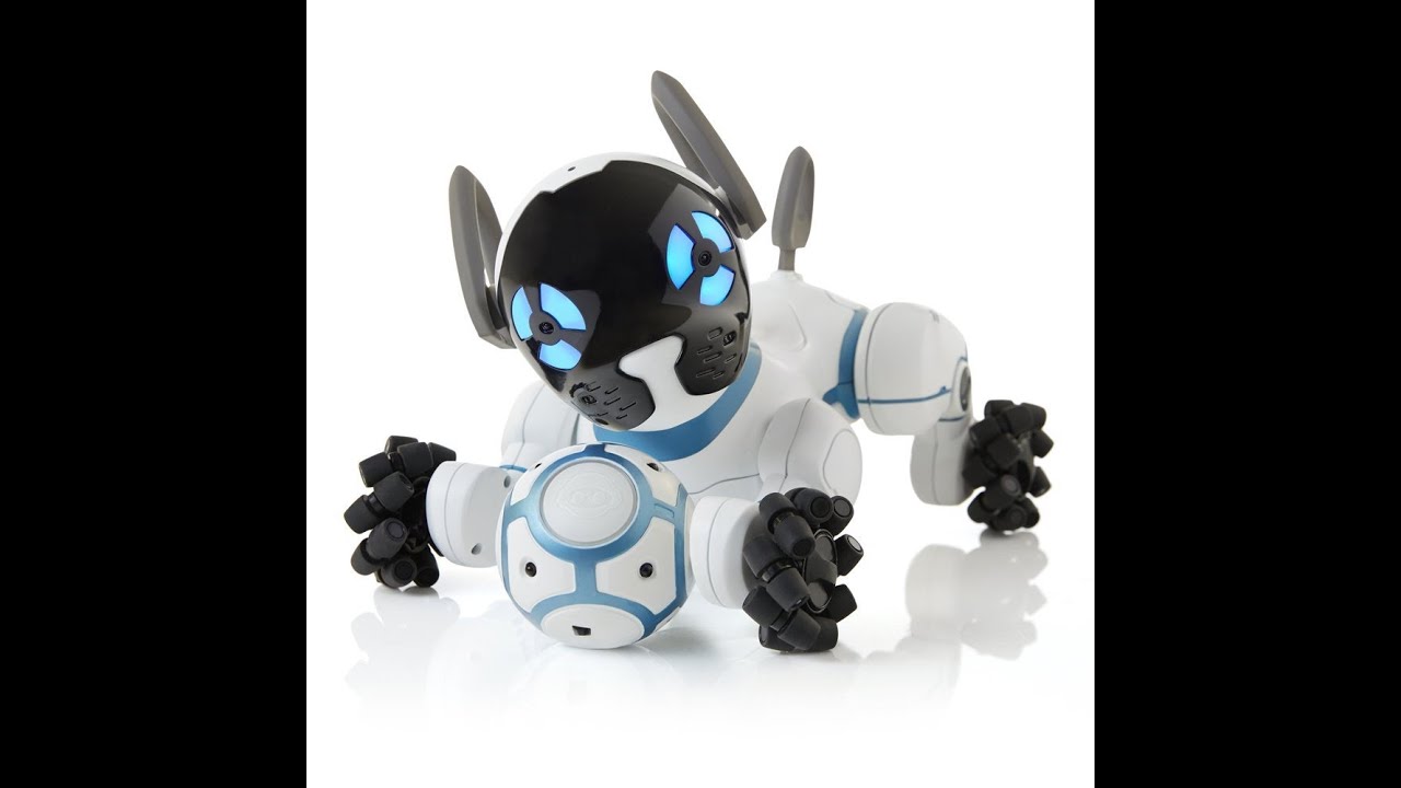 WowWee Interactive Robot Dog Customer Reviews - YouTube