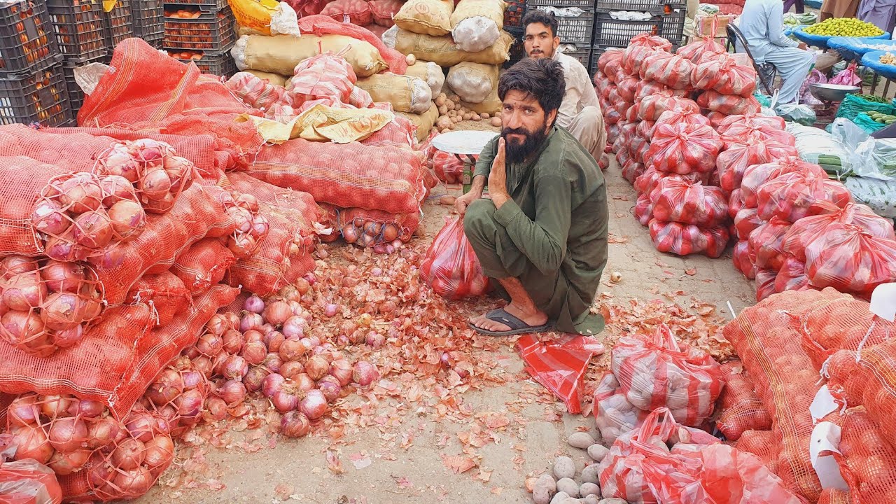 Fresh Potatoes and onion update | Daily updates of fruits and ...