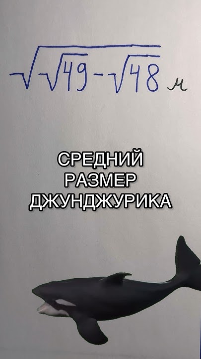 ТАКОГО ВЫ ТОЧНО НЕ ЗНАЛИ Youtube