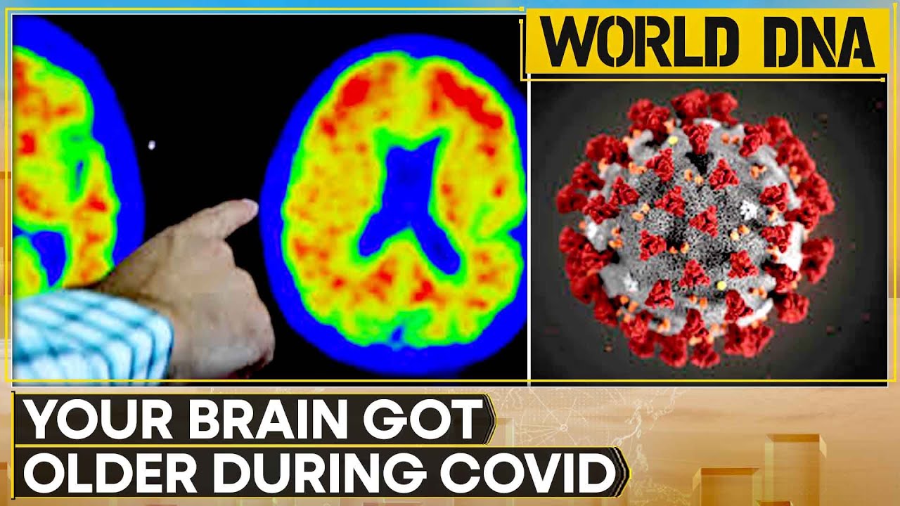 Study Finds Brain Aging Sped Up During COVID Era | World DNA - YouTube