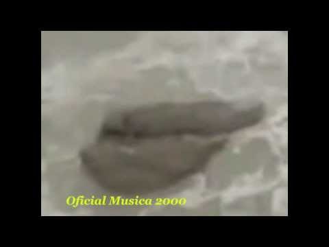 MERMAID IN ISRAEL 2013 Sighting Real Life Footage Awesome Video - YouTube