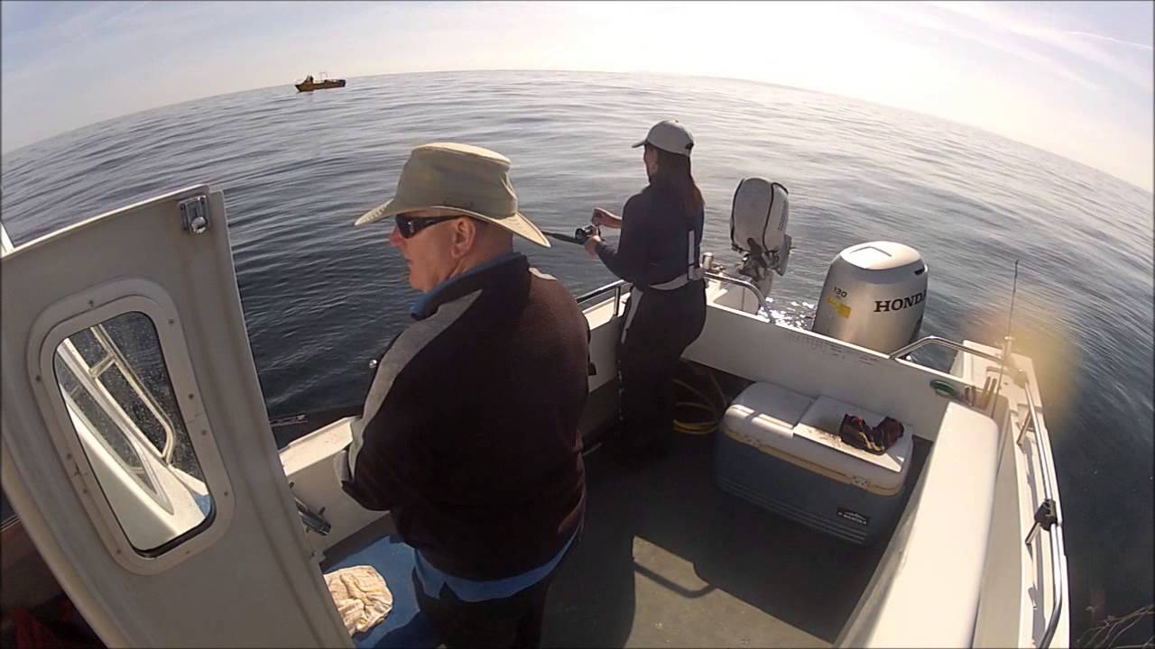 Catching Turbot on the drift. - YouTube