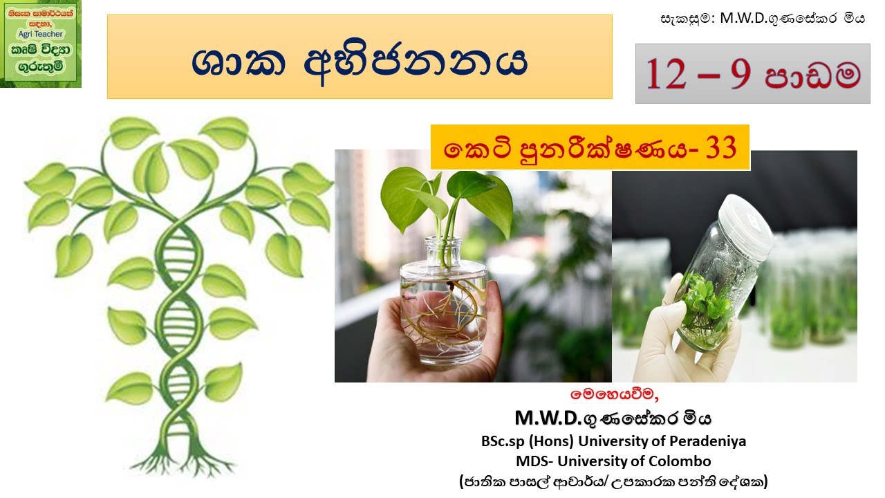 කෙටි පුනරීක්ෂණය 33 ශාක අභිජනනය Youtube