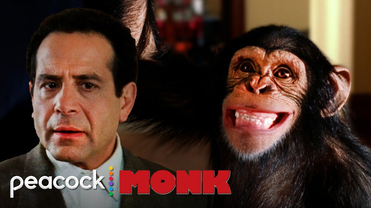 Monkey Killer, Qu'est-ce Que C’est? | Monk - YouTube