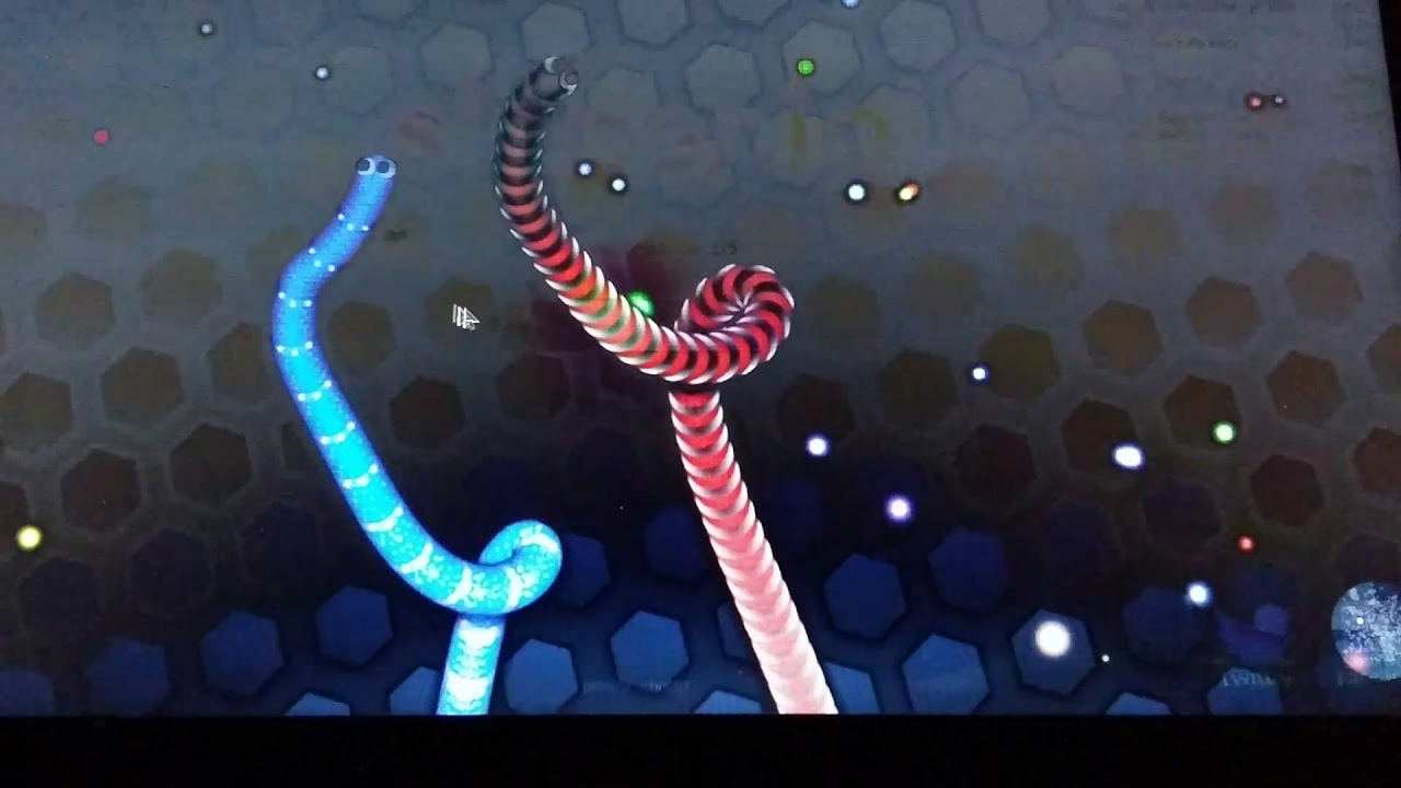 Slithery Snakes😃 - YouTube