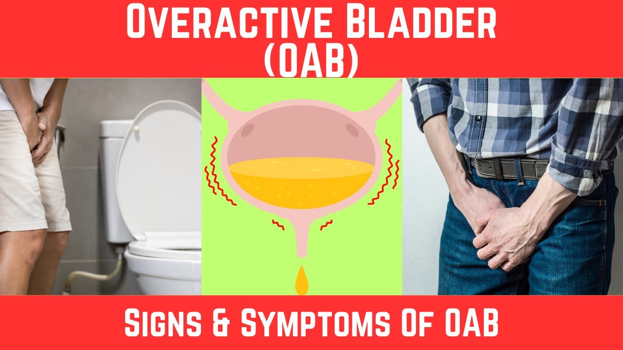 Overactive Bladder | Symptoms | Bladder retraining & Treatment Of OAB ...