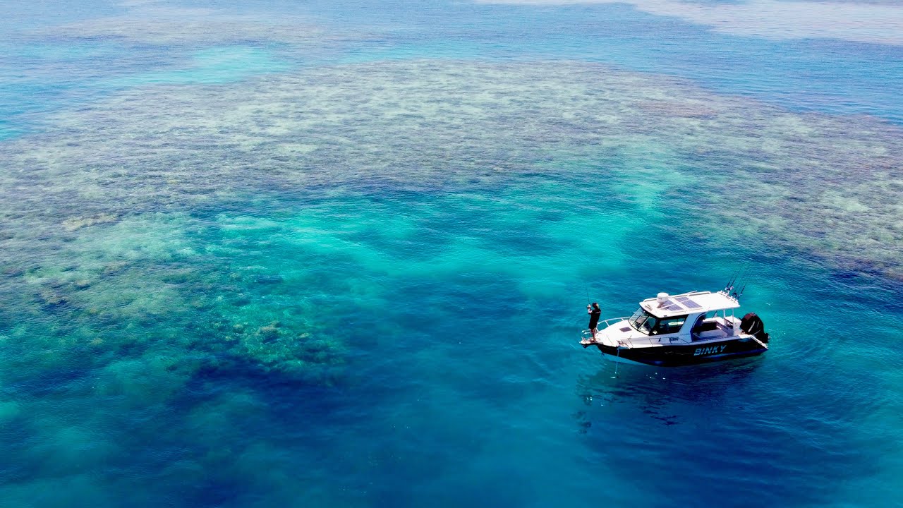 Fishing the Great Barrier Reef … fat trout and fun times - YouTube