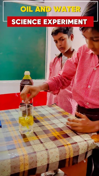 How To Dissolve Oil In Water I सरकारी स्कूल I DIY I Science Experiment ...