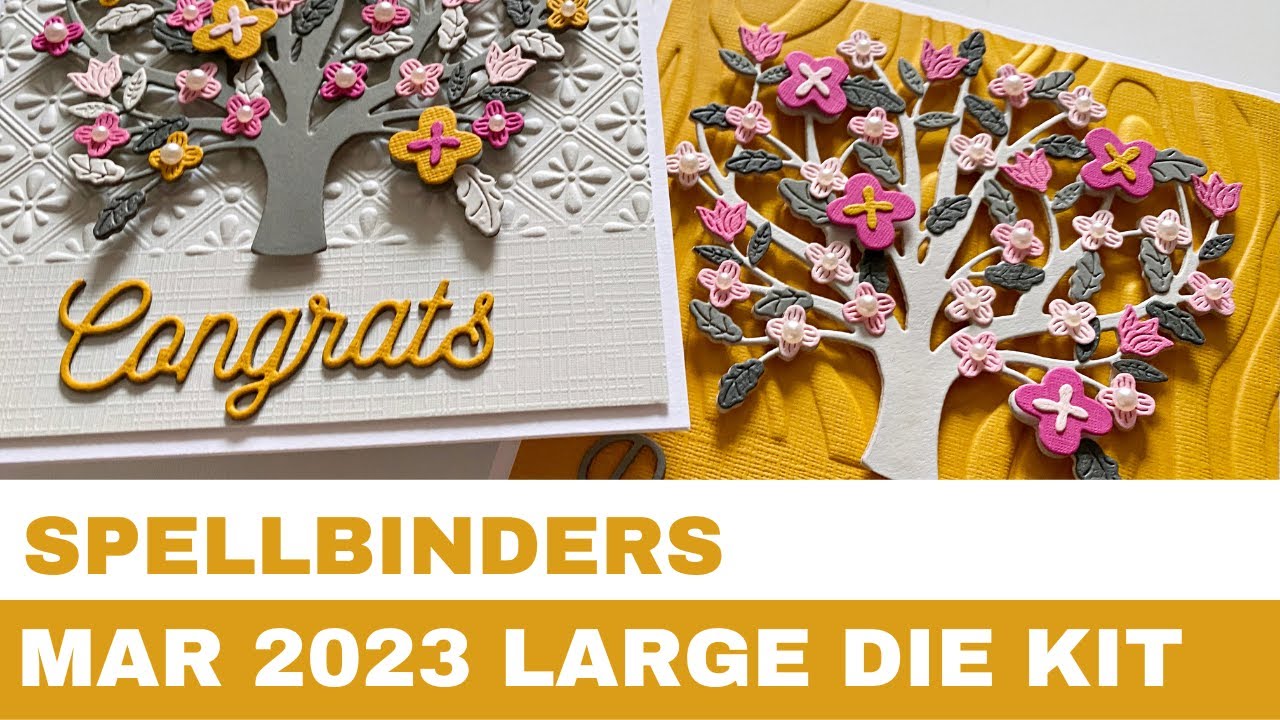 #185 Spellbinders March 2023 Large Die Kit & 3D Embossing Folder Kit ...