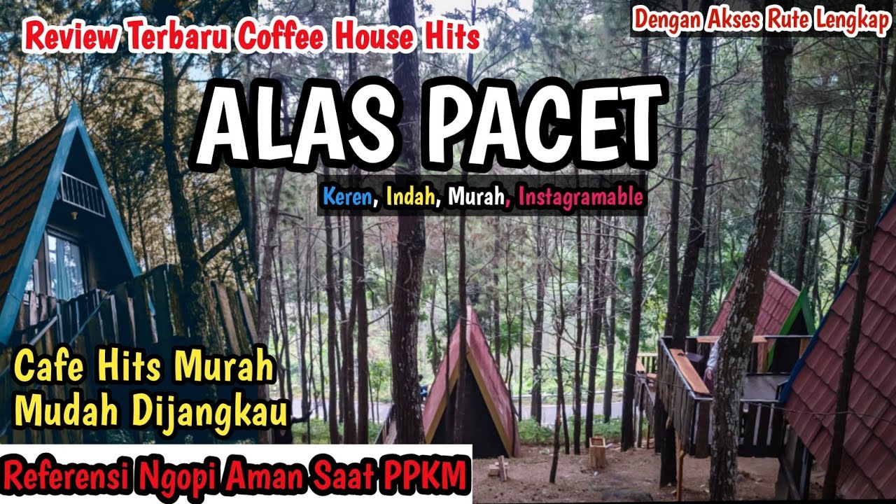ALAS PACET !! CAFE HITS MURAH DAN MUDAH DIAKSES | Review Terbaru Dengan ...