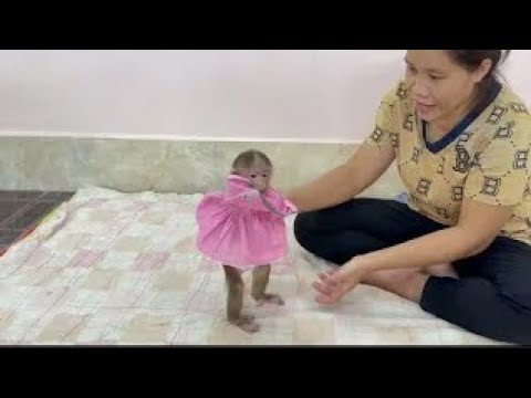 Ohhh MY So Adorable Lil Princess Kobie Throw Cutest Tantrum Jealous At ...