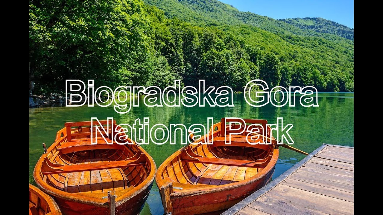 Biogradska Gora National Park - Biogradsko Lake - Montenegro - YouTube