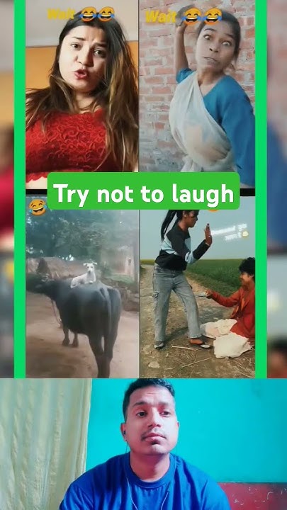Try not to laugh pt256 #trynottolough #trynottolaugh #funny #shorts - YouTube