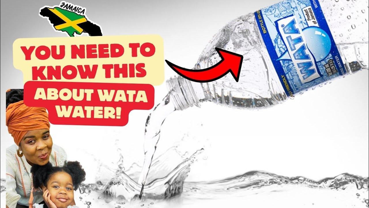 Drinking JAMAICA WATA Water FACTS YOU NEED TO Know 🤔 My Visit to the ...