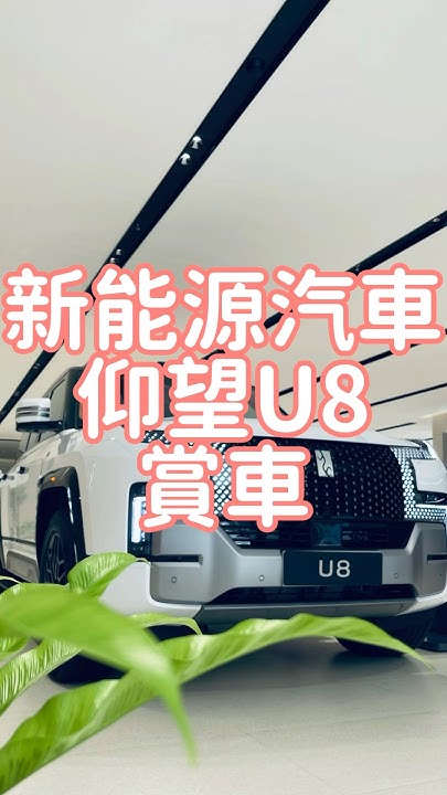 《懂玩龍仔》仰望U8 大陸越野車的天花板！『196』#仰望 #u8 #比亞迪 #越野車 #新能源汽车 #電動車 #抖音 #tiktok #蘇龍禧 #龍禧 #龍仔 #懂玩龍仔 - YouTube