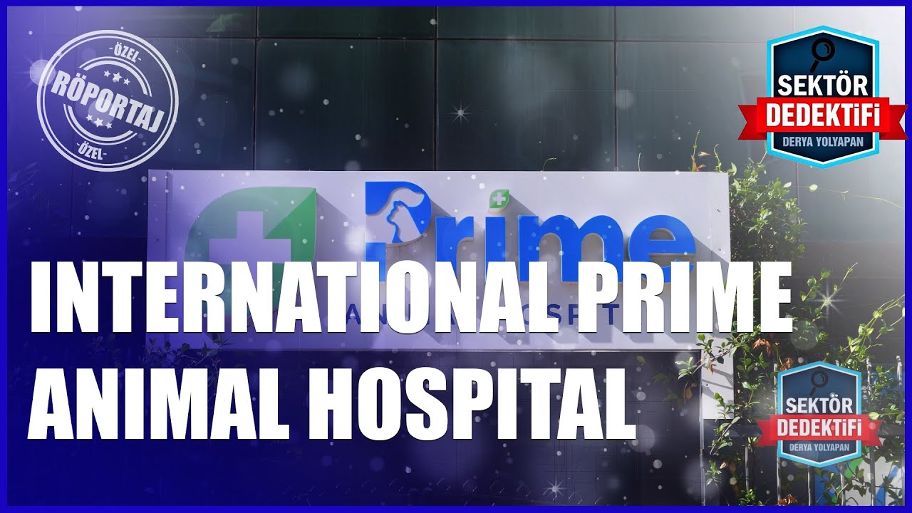 International Prime Animal Hospital: Hayvan Sağlığında Global ...