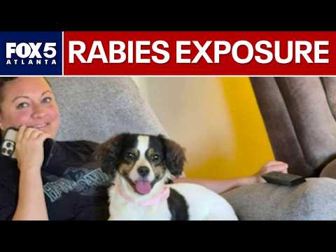 Adopted shelter dog tests positive for rabies | FOX 5 News
