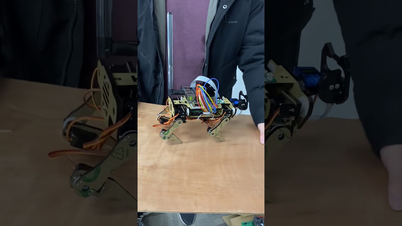 Artificial Intelligent NanoDog - YouTube