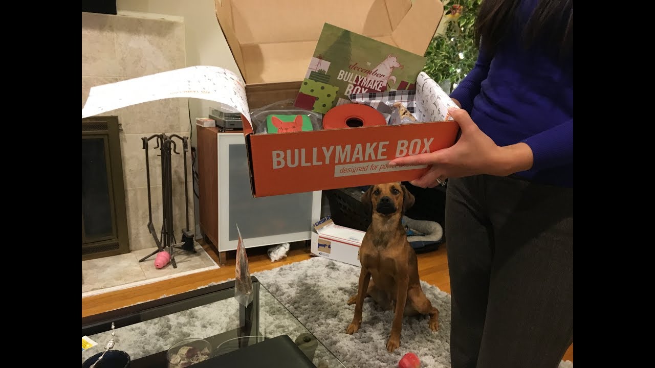 Bullymake Unboxing & Review - December 2017 for 40 Lb Dogs (Giveaway ...
