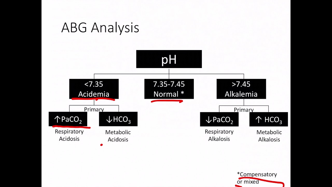 ABG Interpretation - YouTube