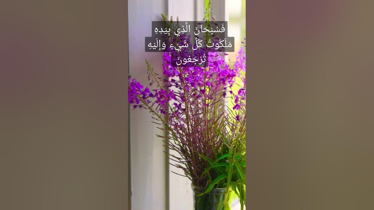 فَسُبْحَانَ الَّذِي بِيَدِهِ مَلَكُوتُ كُلِّ شَيْءٍ وَإِلَيْهِ