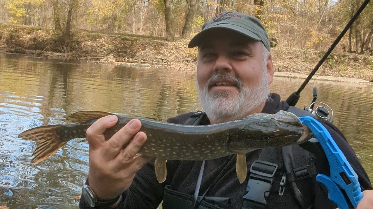 Northern Pike in Ohio - YouTube