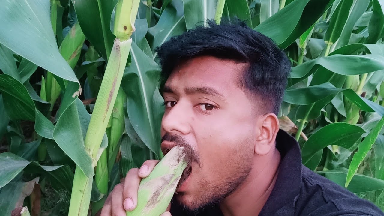 😭😭😭😭 viral video akdom ak akadim morgai 😭😭viral @#video 😭😭 - YouTube