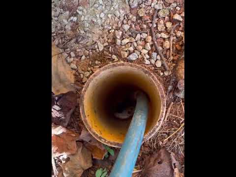 How To Unclog Sewer Line Diy